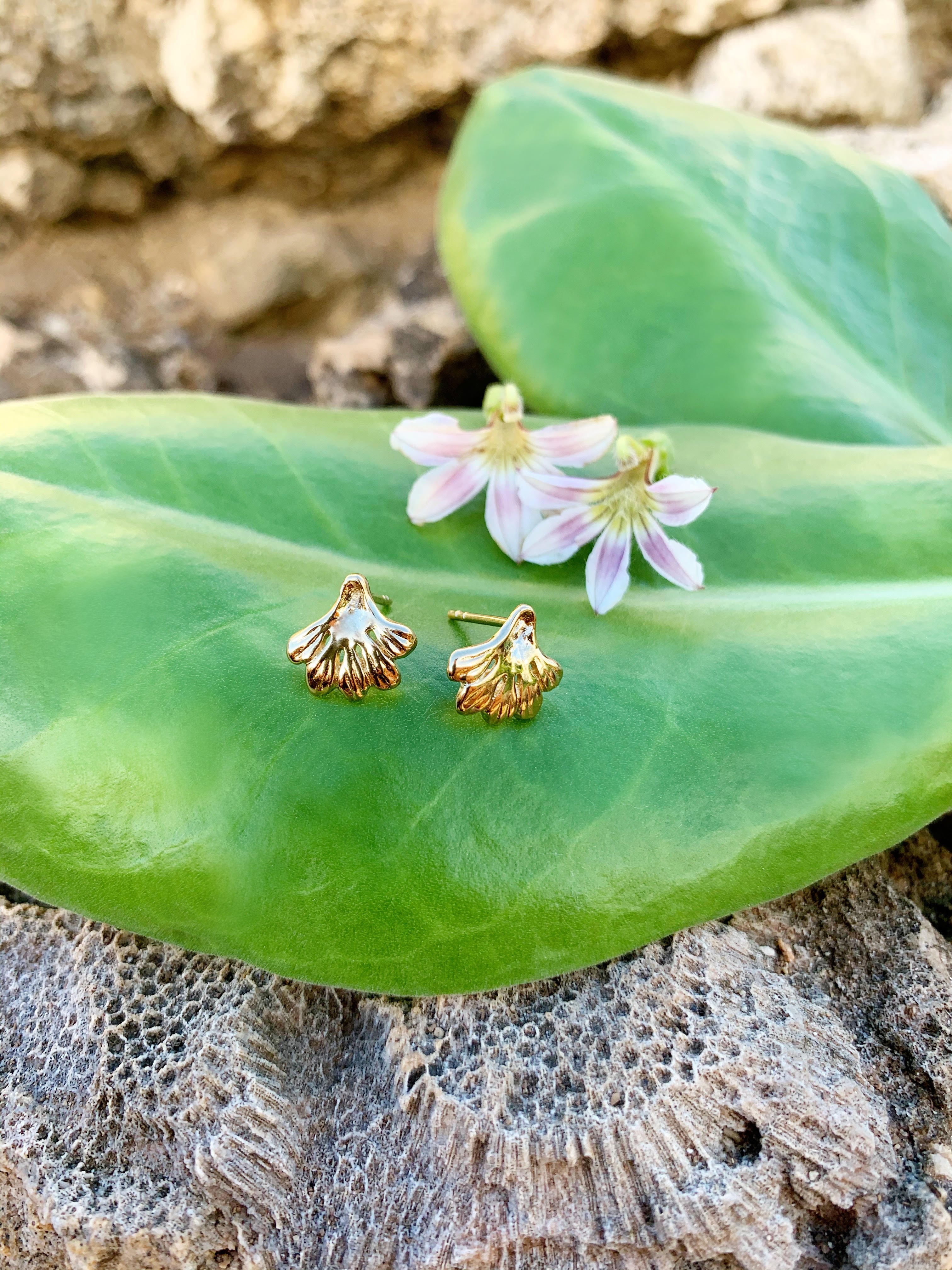 Hawaiian Fan-Flower Naupaka studs – [ki-ele]